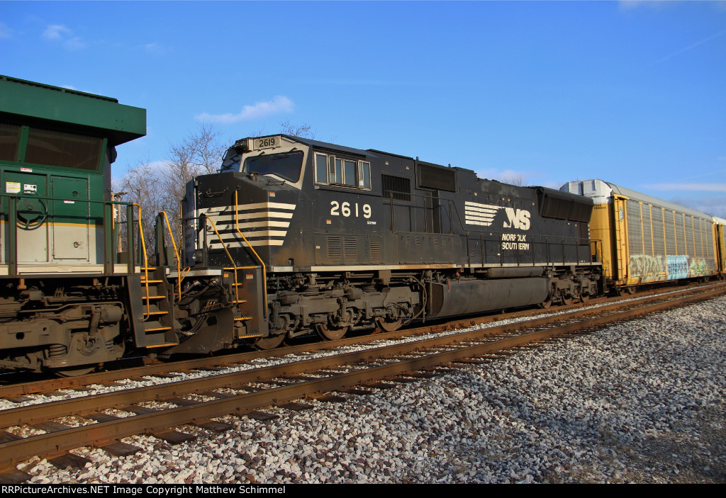 NS 2619 - White Face!